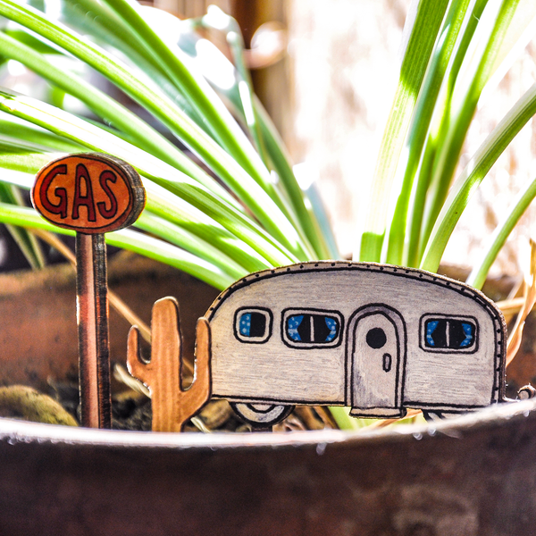 Desert Oasis Plant Diorama Kit – Crafty Wonderland