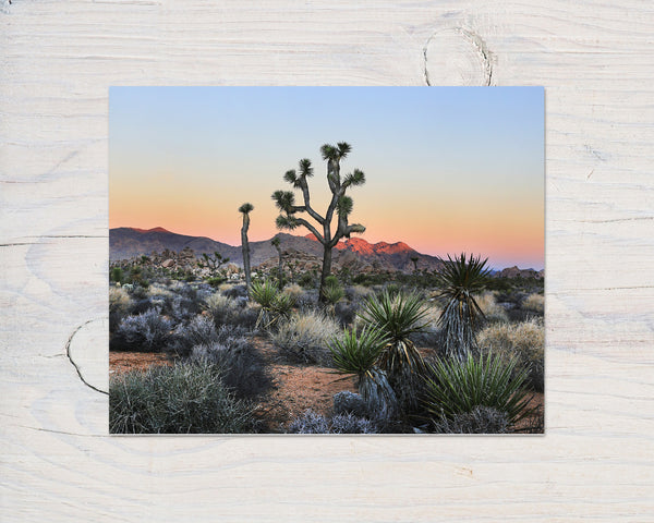 Joshua Tree Sunrise Photo Print – Crafty Wonderland